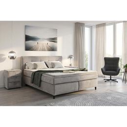 Jockenh&ouml;fer Boxspringbett &raquo;Capello, 7-Zonen-TTFK-Matratze&laquo; KS-Topper, 160x200 cm oder 180x200 cm, verschiedene H&auml;rtegrade w&auml;hlbar grau Bezug Bett: Flachgewebe (