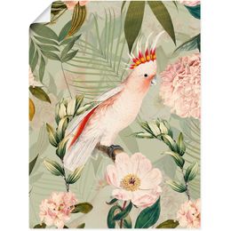 Artland Wandbild &raquo;Vintage Papagei&laquo; Vogelbilder 1 Stk. tlg. als Leinwandbild, Poster in verschied. Gr&ouml;&szlig;en gr&uuml;n B/H/T: 90cm x 120cm, Poster Vogelbilder 