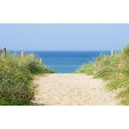 papermoon Fototapete &raquo;Dune at the Ocean&laquo; glatt bunt Vlies B/L: 3m x 2,23m, Bahnen: 6 Stk.
