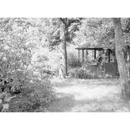 papermoon Fototapete &raquo;Garten Schwarz & Wei&szlig;&laquo; schwarz Vlies B/L: 4m x 2,6m, Bahnen: 8 Stk.