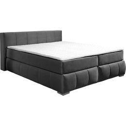 Home Affaire Boxspringbett &raquo;Chelles&laquo; inkl. Topper,, in XXL- &Uuml;berl&auml;nge 220 cm, Unterbox mit feine W&ouml;lbung grau Samtoptik (100% Polyester);Bezug der 