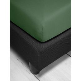 Irisette Spannbettlaken &raquo;Jupiter 8&laquo; aus Baumwolle, f&uuml;r Matratzen bis 25 cm H&ouml;he, Bettlaken, Spannbetttuch gr&uuml;n Mako-Jersey, Obermaterial: 100% Baumwolle B/L: 