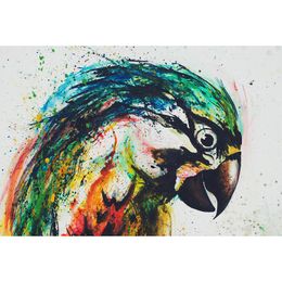 Livingwalls living walls Fototapete &raquo;ARTist Parrot&laquo; Vlies, Wand, Schr&auml;ge bunt Vlies B/L: 4m x 2,7m