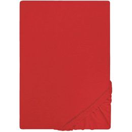 Biberna Spannbettlaken &raquo;Leila&laquo; Bettlaken aus 100% Baumwolle, f&uuml;r Matratzenh&ouml;hen bis 22 cm rot Jersey, Obermaterial: 100% Baumwolle B/L: 200cm, 1 Stk., Jersey,
