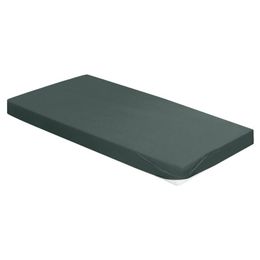 Irisette Spannbettlaken &raquo;Porto 20&laquo; besonders elastisch gr&uuml;n Jersey, Obermaterial: 95% Baumwolle, 5% Elasthan B/L: 150cm x 200cm, 1 Stk., Jersey, 140-160x200-