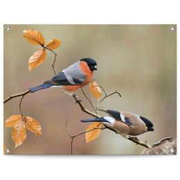 Reinders Poster &raquo;Gimpel&laquo; Outdoor f&uuml;r Garten oder Balkon orange Leinwand B/H/T: 80cm x 60cm x 0,1cm