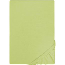 Spannbettlaken &raquo;Jersey in Gr. 90x200, 140x200 oder 180x200 cm&laquo; aus Baumwolle, f&uuml;r Matratzen bis 22 cm H&ouml;he, Bettlaken, Spannbetttuch gr&uuml;n Jersey, 