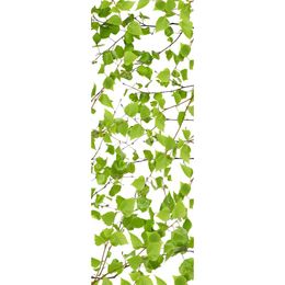 queence Vinyltapete &raquo;Fenna&laquo; Motiv floral gebl&uuml;mt gemustert glatt 90x250cm, selbstklebend, kinderleichte Anbringung,, Sticker gr&uuml;n Vinyl B/L: 0,9m x 
