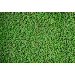 ARCHITECTS PAPER Fototapete &raquo;Real Moss&laquo; Vlies, Wand, Schr&auml;ge gr&uuml;n Vlies B/L: 4m x 2,7m