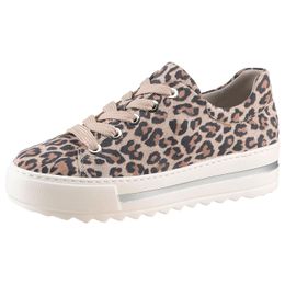 Gabor Damen Plateausneaker "FLORENZ", Gr. 41, braun, Ziegenveloursleder, Schuhe, Freizeitschuh, Halbschuh, Schn&uuml;rer, modischer Leo-Look, Weite G