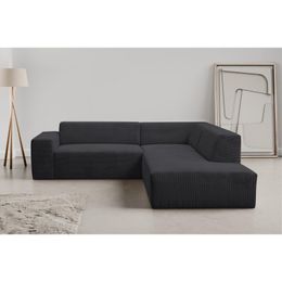 WERK2 Ecksofa &raquo;Zeus-M 251 cm breit, 262 cm tief, tolles Sofa, L-Form&laquo; Curvy Trend Garnitur, urbane Optik, komfortable Wellenunterfederung grau 90% 