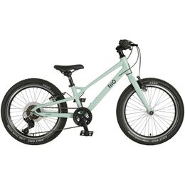 Prophete Kinderfahrrad &raquo; Trio 100&laquo; 7 Gang Shimano Tourney Schaltwerk Kettenschaltung gr&uuml;n 25cm, 24 Zoll (60,96cm) hinten: 24 Zoll (60,96cm) Kinderfahrrad