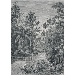 Fototapete "Jungle", B/L: 2m x 2m, schwarz, SUPERFRESCO EASY, Schlafzimmer, Tapeten, 200 cm L&auml;nge