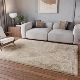 Teppich &raquo;Parma&laquo; rechteckig 50 mm H&ouml;he Hochflor, gewebt, kuschelig, uni, Wohnzimmer, Schlafzimmer, Esszimmer beige Polyester B : 120cm 1 Stk., 50mm, L: