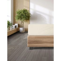 Spannbettlaken Irisette, B:180cm L:200cm, beige, Jersey, Obermaterial: 95% Baumwolle, 5% Elasthan, Bettlaken, "Porto 20", besonders elastisch