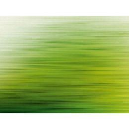 Livingwalls living walls Fototapete &raquo;The Wall&laquo; Farbverlauf Motiv abstrakt glatt Fototapete Tapete Modern Tapeten Wohnzimmer Schlafzimmer K&uuml;che Design gr&uuml;n Vinyl, 