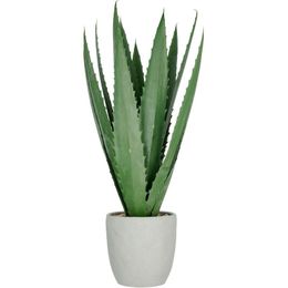Creativ green Kunstpflanze &raquo;Agave&laquo; mit 13 Agavenbl&auml;ttern gr&uuml;n Kunststoff B/H/L: 80cm, 1 Stk.