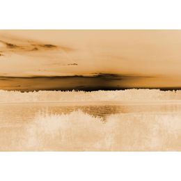 ARCHITECTS PAPER Fototapete &raquo;Atelier 47 Landscape Artwork 1&laquo; Wald glatt Vlies, Wand, Schr&auml;ge, Decke orange Vlies B/L: 4m x 2,7m