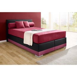 Maintal Boxspringbett &raquo;Lago&laquo; in 3 verschiedenen Matratzenarten, H2 oder H3 rot Bezug Kopteil und seitliche Unterbox wahlweise Microvelours aus 100% Polyester 