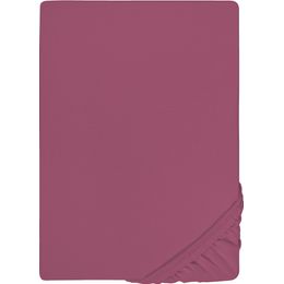Spannbettlaken, L:200cm, lila, CASTELL - MARKENBETTW&Auml;SCHE, Jersey, Obermaterial: 100% Baumwolle, Bettlaken, "Jersey in Gr. 90x200, 140x200 oder