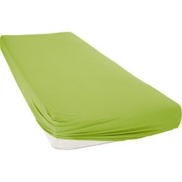 bellana Spannbettlaken &raquo;bellana premiumstretch&laquo; super elastisch gr&uuml;n Jersey-Elasthan, Obermaterial: 95% Baumwolle, 5% Elasthan 1 Stk., Jersey-Elasthan