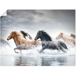 Artland Wandbild &raquo;Pferderennen V&laquo; Pferdebilder 1 Stk. tlg. als Leinwandbild, Poster in verschied. Gr&ouml;&szlig;en beige B/H/T: 120cm x 90cm, Poster Pferdebilder 