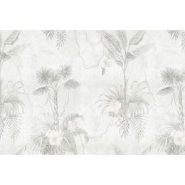 Livingwalls living walls Fototapete &raquo;Walls by Patel Life In The Trees&laquo; glatt Vlies, Wand grau Vlies B/L: 4m x 2,7m