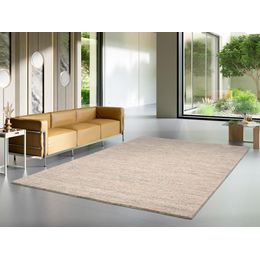 Wollteppich, B:170cm H:16mm L:240cm, beige, OCI DIE TEPPICHMARKE, Obermaterial: 100% Schurwolle, Wohnzimmer, Teppiche, "HAPINOA", handgewebt, reine