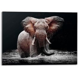 Reinders Deco-Panel &raquo;Elefant&laquo; schwarz MDF B/H/T: 140cm x 100cm x 2cm