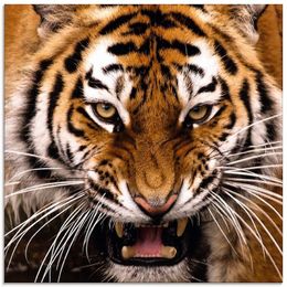 Artland Glasbild &raquo;Tiger Kopf&laquo; Wildtiere 1 Stk. tlg. in verschiedenen Gr&ouml;&szlig;en bunt B/H/T: 50cm x 50cm, Glasbild Wildtiere quadratisch, 1 Stk.