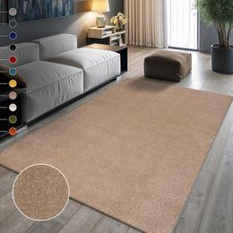 Sanat Teppich &raquo;UNI , auch als L&auml;ufer und Rund&laquo; rechteckig 13 mm H&ouml;he robuster Kurzflorteppich, gro&szlig;e Farbauswahl, Wohnzimmer, alle R&auml;ume beige Kunstfaser B 