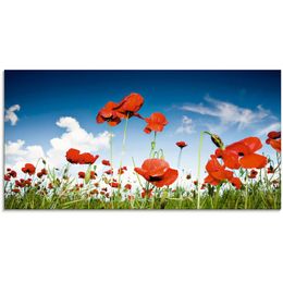 Artland Glasbild &raquo;Feld mit Mohnblumen unter Himmel&laquo; Blumenwiese 1 Stk. tlg. in verschiedenen Gr&ouml;&szlig;en bunt B/H/T: 60cm x 30cm, Glasbild Blumenwiese, 1 Stk.