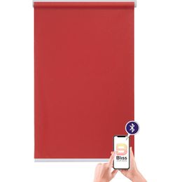 SUNLINES Elektrisches Rollo &raquo;New York&laquo; Lichtschutz Sichtschutz mit Bohren freih&auml;ngend appgesteuert via Bluetooth, mit Motor und Akku, wei&szlig;er Fallstab 