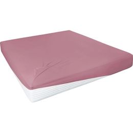 Primera Spannbettlaken &raquo;Elasthan-Feinjersey&laquo; PREMIUM, aus 95% gek&auml;mmter Baumwolle und 5% Elasthan, bis 28 cm H&ouml;he rot Jersey-Elasthan, Obermaterial: 95% 