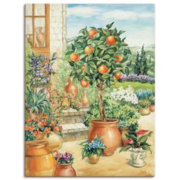 Artland Wandbild &raquo;Orangenbaum im Garten&laquo; Garten 1 Stk. tlg. als Alubild, Leinwandbild in verschied. Gr&ouml;&szlig;en gr&uuml;n B/H/T: 30cm x 40cm, Leinwandbild Garten, 1 Stk
