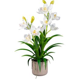 Creativ green Kunstorchidee &raquo;Orchidee Cymbidie&laquo; mit traumhaft sch&ouml;nen Bl&uuml;ten wei&szlig; B/H/L: 58cm, 1 Stk.