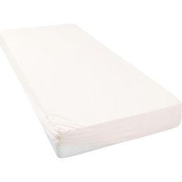 OTTO home Spannbettlaken &raquo;SOUCY aus Baumwolle mit Elasthan, 160 g/m&sup2;&laquo; Premium Bettlaken f&uuml;r Matratzen bis 30 cm H&ouml;he, optimale Passform beige Jersey-