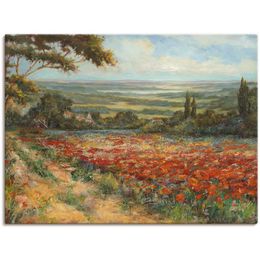 Artland Wandbild &raquo;Weg am Mohnfeld&laquo; Wiesen & B&auml;ume 1 Stk. tlg. als Leinwandbild, Poster in verschied. Gr&ouml;&szlig;en gr&uuml;n Leinwand B/H/T: 60cm x 45cm, Leinwandbild 