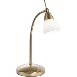 Paul Neuhaus LED Tischleuchte "Pino", 1, H: 45cm, 1 Stk., grau, Leuchten, 3-Stufen Touchdimmer; flexibel verstellbar