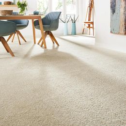 ANDIAMO Teppichboden &raquo;Verona, Velours, Gesamth&ouml;he 6 mm, Luxusklasse LC2&laquo; rechteckig Uni Farben, Breite 400 cm oder 500 cm, strapazierf&auml;hig, pflegeleicht beige