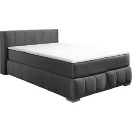 Home Affaire Boxspringbett &raquo;Chelles&laquo; inkl. Topper,, in XXL- &Uuml;berl&auml;nge 220 cm, Unterbox mit feine W&ouml;lbung grau Samtoptik (100% Polyester);Bezug der 