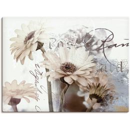 Artland Wandbild &raquo;Gerberas_Detail&laquo; Blumenbilder 1 Stk. tlg. als Leinwandbild, Poster in verschied. Gr&ouml;&szlig;en wei&szlig; Leinwand B/H/T: 60cm x 45cm, Leinwandbild 