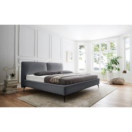 Meise M&ouml;bel meise.m&ouml;bel Polsterbett &raquo;Infinity erh&auml;ltlich in verschiedenen Farben und Breiten&laquo; mit schwarzen Metallf&uuml;&szlig;en grau Liegefl&auml;che L&auml;nge B: 200cm x 160cm, 