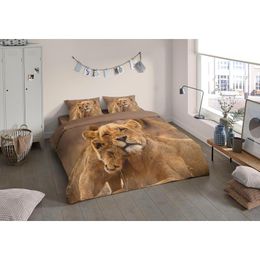 PURE luxury collection Wendebettw&auml;sche &raquo;Lovely&laquo; 2 Stk. Mikrofaser, 135x200, Pflegeleicht, Rei&szlig;verschluss, Wendeoptik, L&ouml;we bunt Microfaser, 
