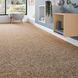 ANDIAMO Teppichboden &raquo;Matz, Schlinge, Gesamth&ouml;he 6 mm, Luxusklasse LC1&laquo; rechteckig meliert, Breite 400 cm oder 500 cm, strapazierf&auml;hig & pflegeleicht braun 