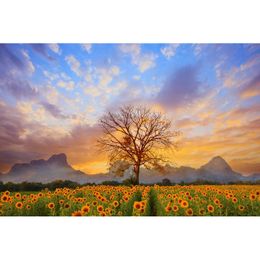 papermoon Fototapete &raquo;Sonnenblumenlandschaft&laquo; bunt Vlies B/L: 3m x 2,23m, Bahnen: 6 Stk.