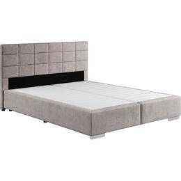 COTTA Boxspringbett &raquo;Simba in verschiedenen Farben und Breiten erh&auml;ltlich, ohne Matratze&laquo; Bezugsstoff: Struktur fein grau Polyester Struktur fein 