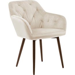 Salesfever Esszimmerstuhl &raquo;Coventry Komfortabler Polstertuhl im eleganten Stil&laquo; () Stilvoll mit eleganter Knopfheftung beige 100% Polyester, Metall B/