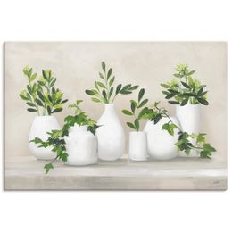Wandbild Artland, B:60cm H:40cm, gr&uuml;n, Leinwand, Wohnzimmer, Bilder, "Plant Life IV", als Alubild, Leinwandbild, Poster, Wandaufkleber in verschied.
