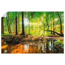 Artland Wandbild &raquo;Wald mit Bach&laquo; Wald 1 Stk. tlg. als Alubild, Leinwandbild, Poster in verschied. Gr&ouml;&szlig;en gr&uuml;n B/H/T: 60cm x 40cm, Poster Wald Querformat, 1 